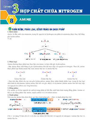 Bài 8. Amine - GV.docx - PDF.DoTool.net